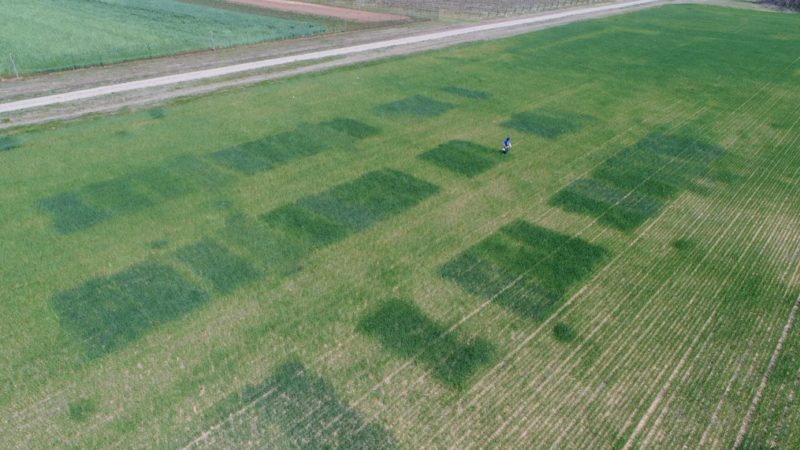 Fertilizer Recommendation Support Tool