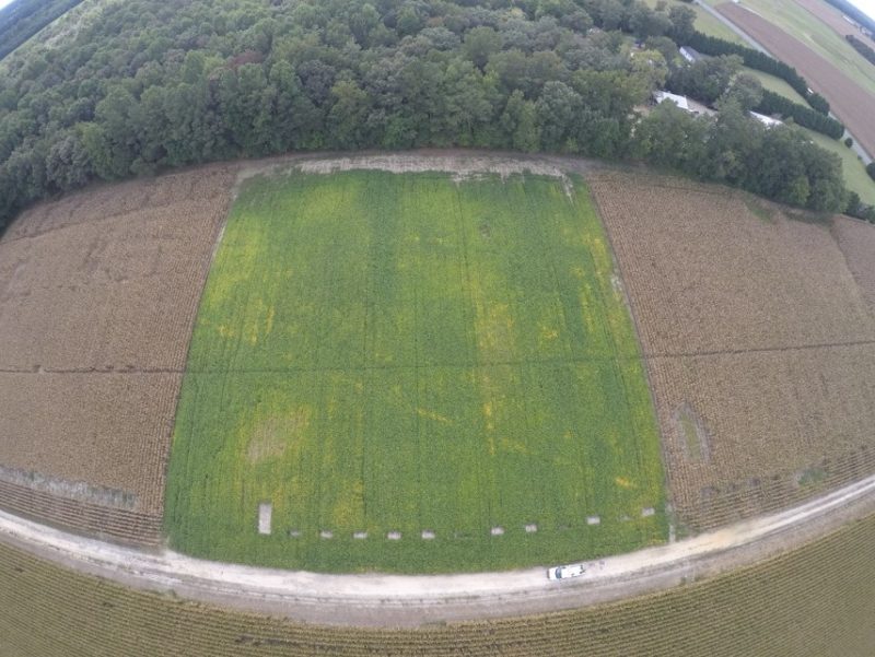 Fertilizer Recommendation Support Tool