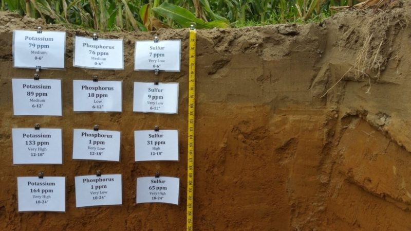 Fertilizer Recommendation Support Tool