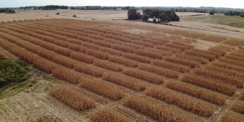 Fertilizer Recommendation Support Tool